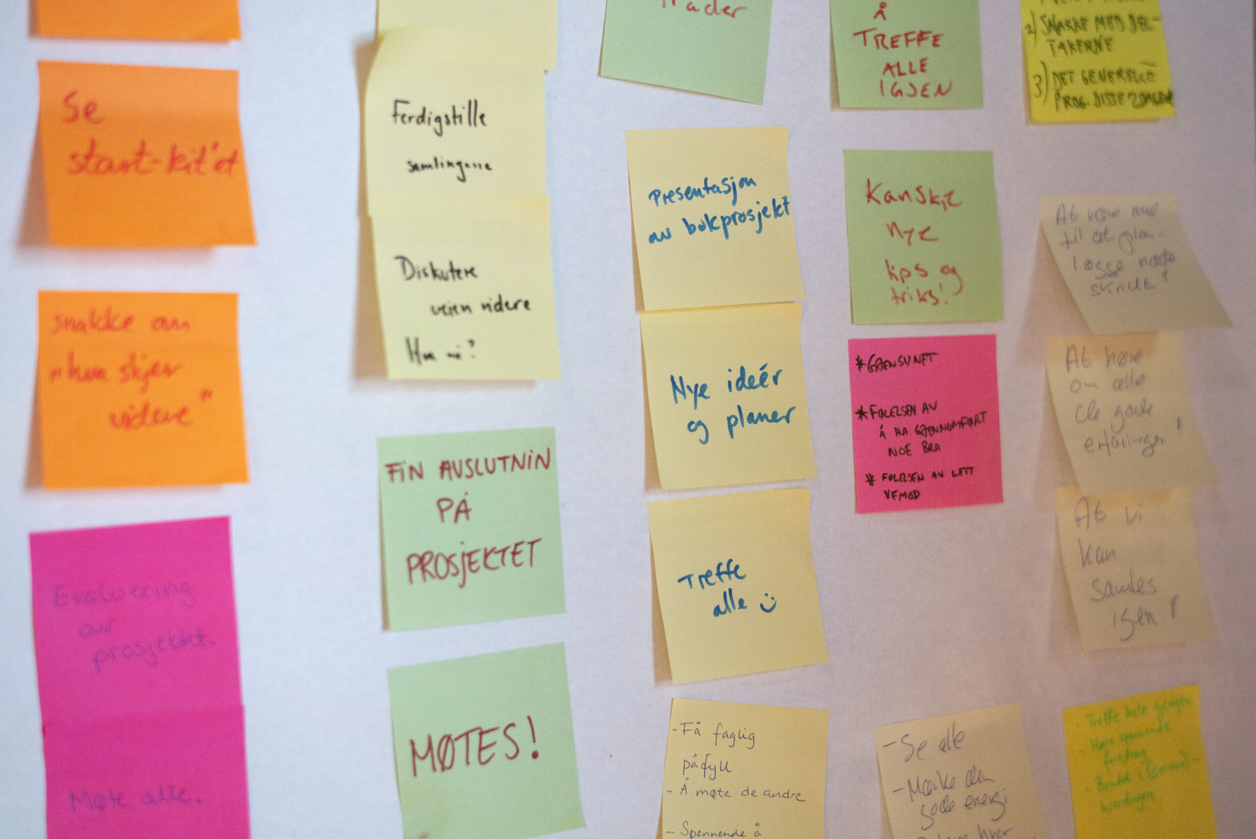 Prosjektarbeid i bibliotek - Kompetansebank